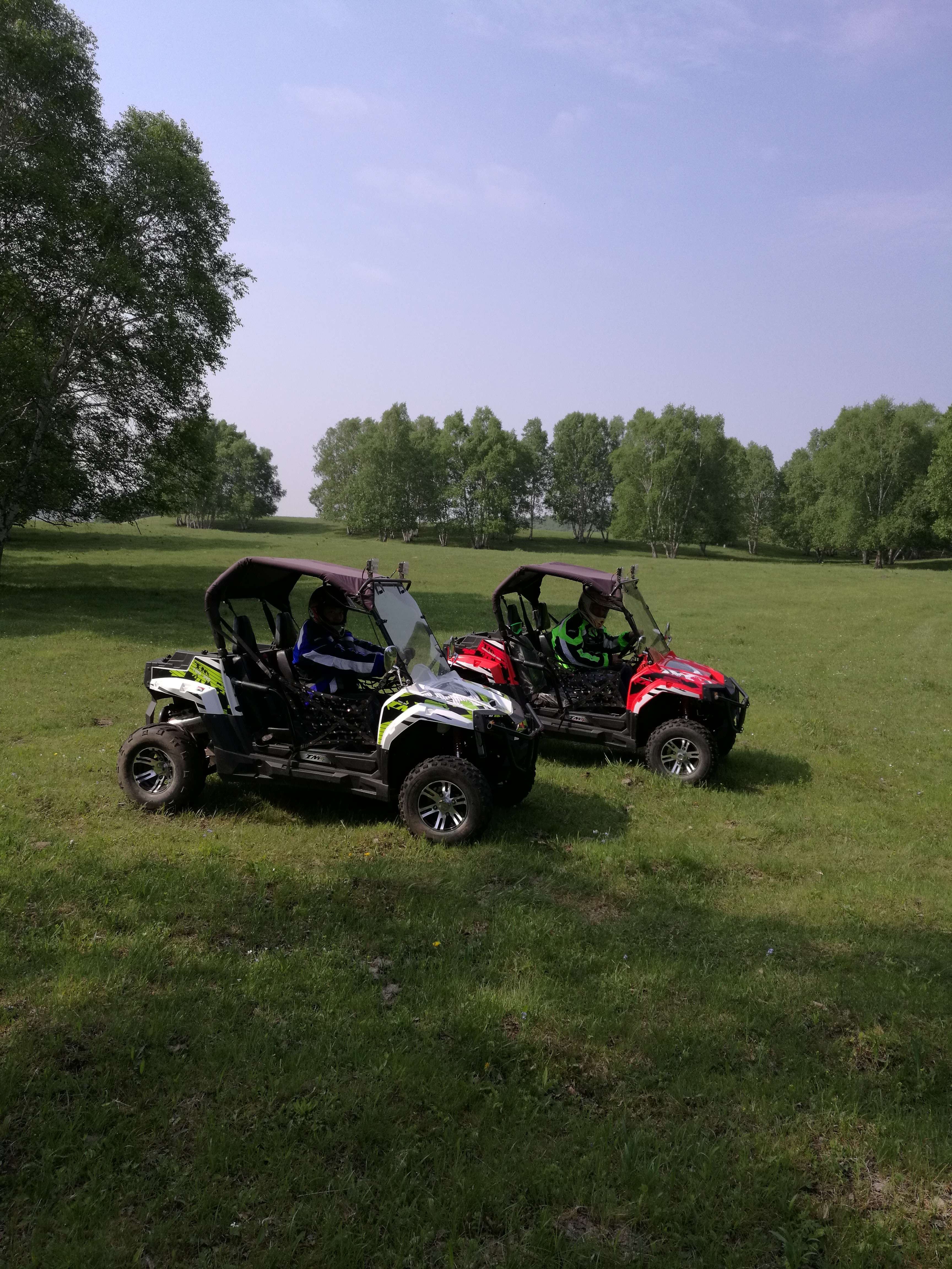 wholesale utv green keeping manufactures/supplier,utv green keeping factory