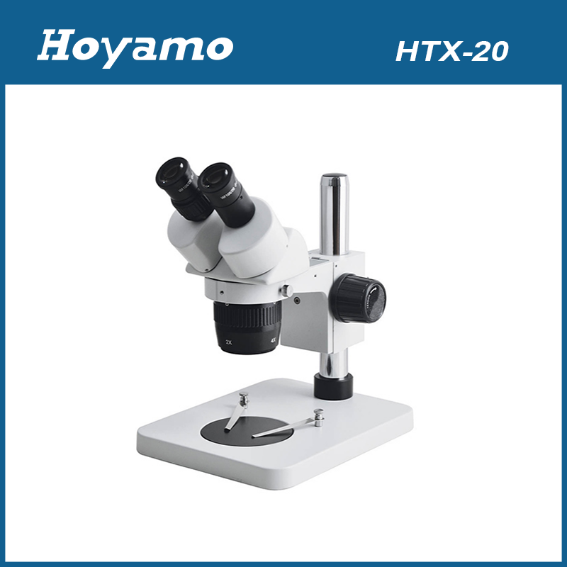 Zoom Stereo Microscope