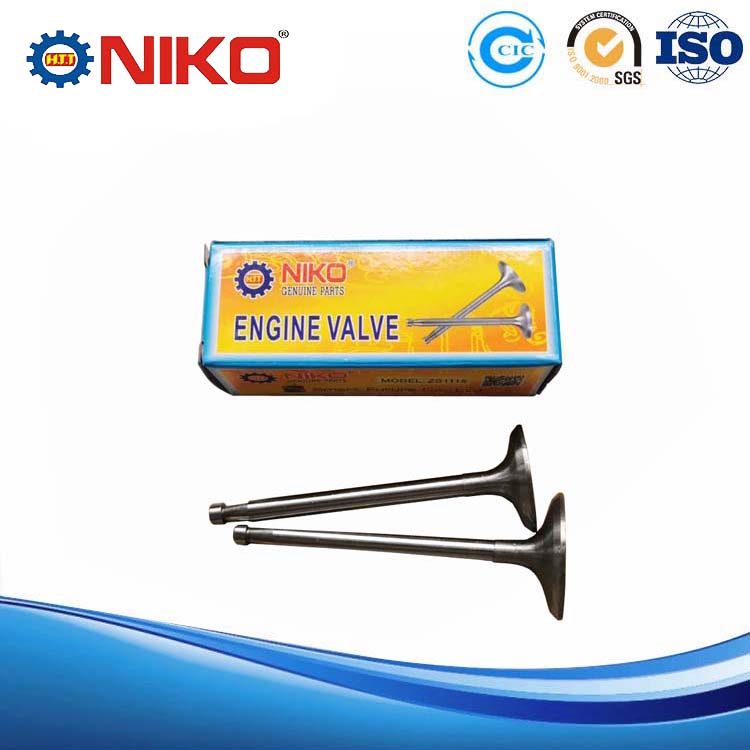 valve diesel engine ZS/ZH195 1100 1105 1110 1115 1125 1130