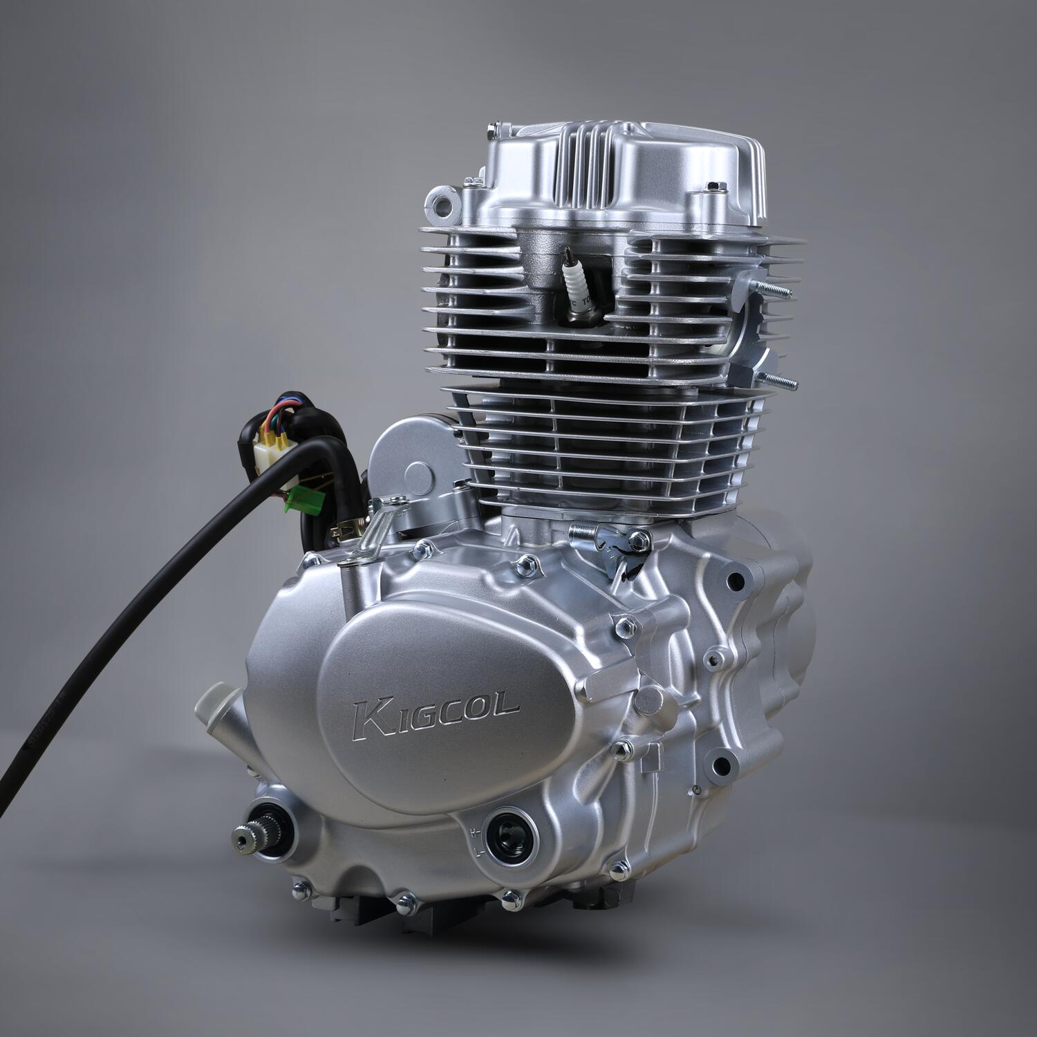 ENGINE W/CARTER NORMAL CG150/200