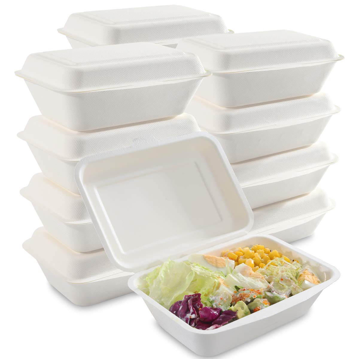 Biodegradable Takeaway Food Packaging Boxes Biodegradable Takeaway Food Packaging Boxes