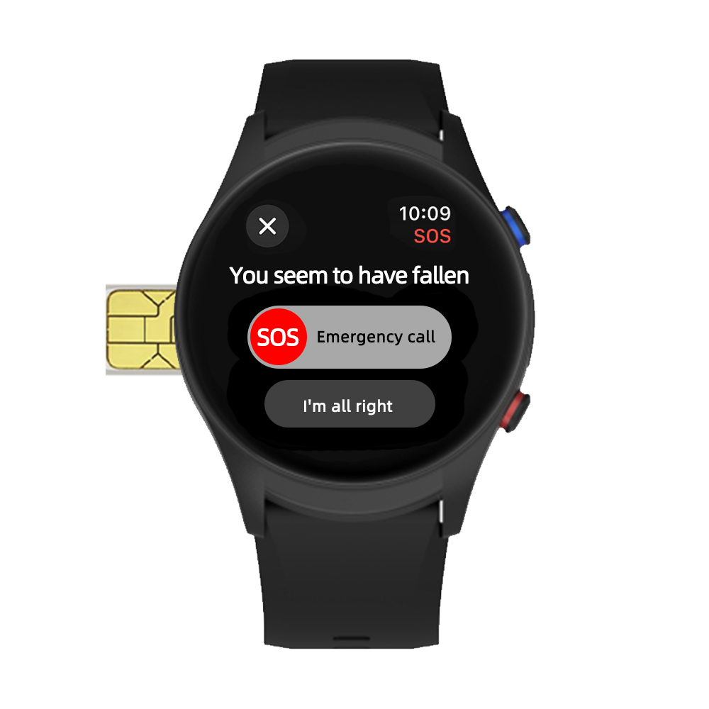 4G ECG Elderly Smart Watch NL08S Fall Detection Alarm SOS Call GPS WiFi ...