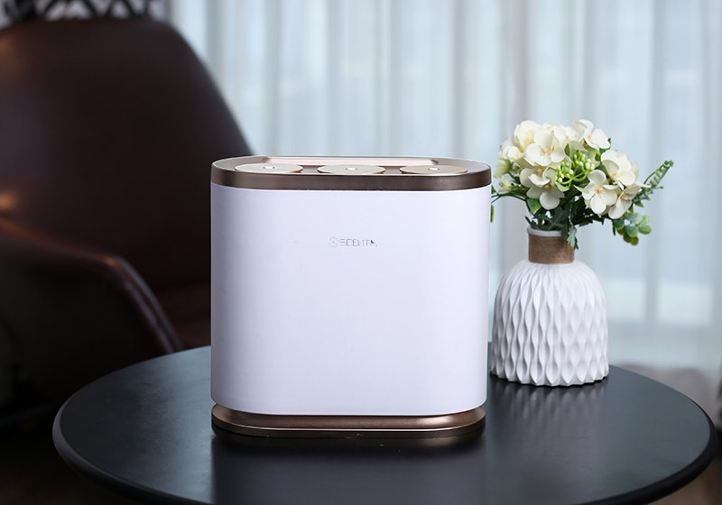 Review | SCENTA in 2023 Canton Fair